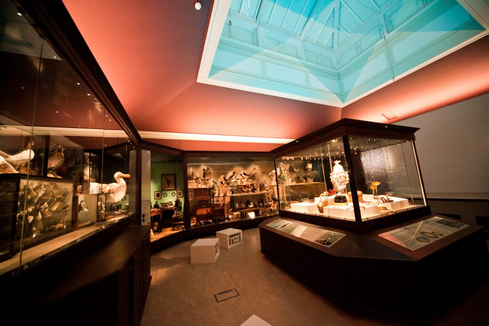 Official Opening of Warrington Museum & Art Gallery | Conlon Construction